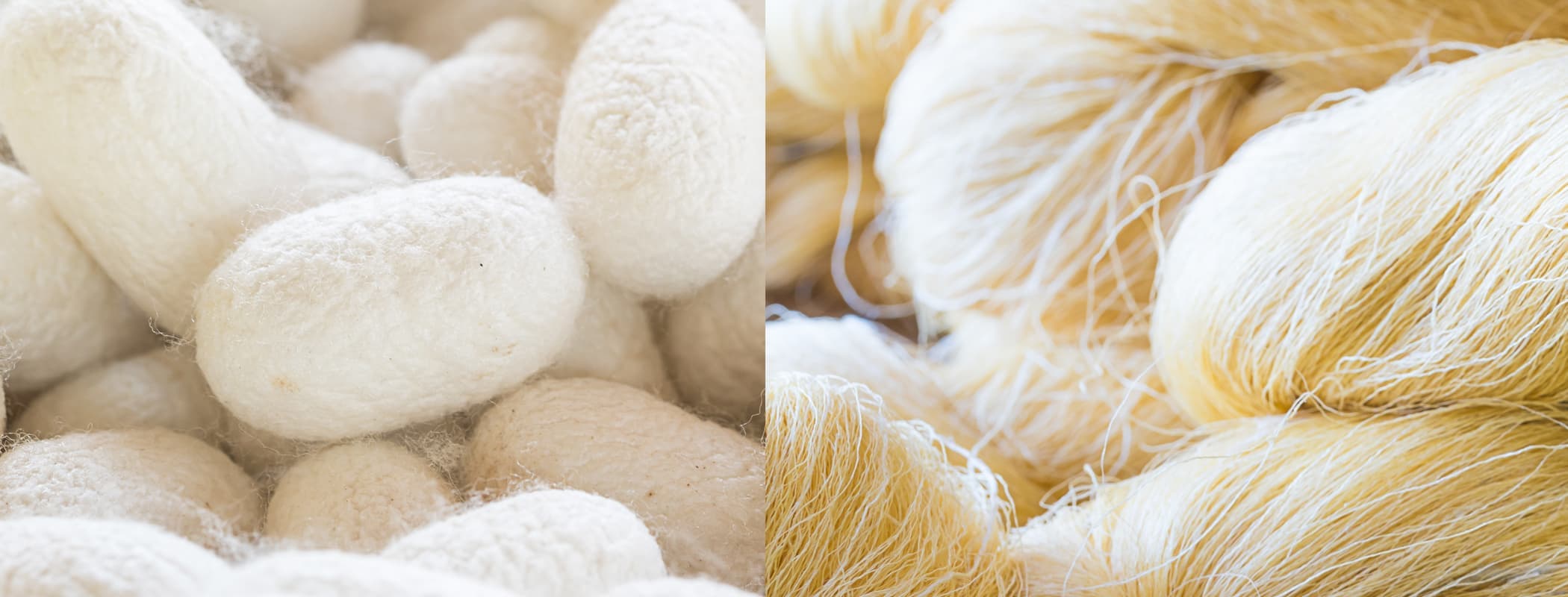 The Ingredients of a Saree….or a Saree Recipe….. - Project LooM